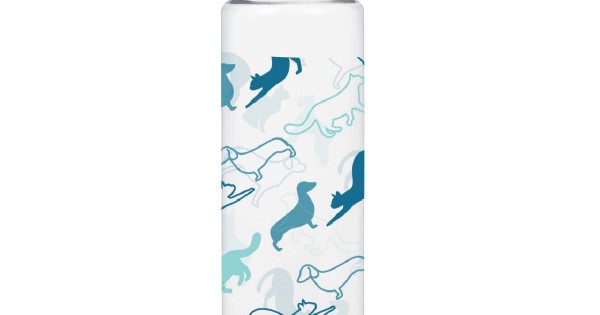 25oz Full Color Brooks Bottle